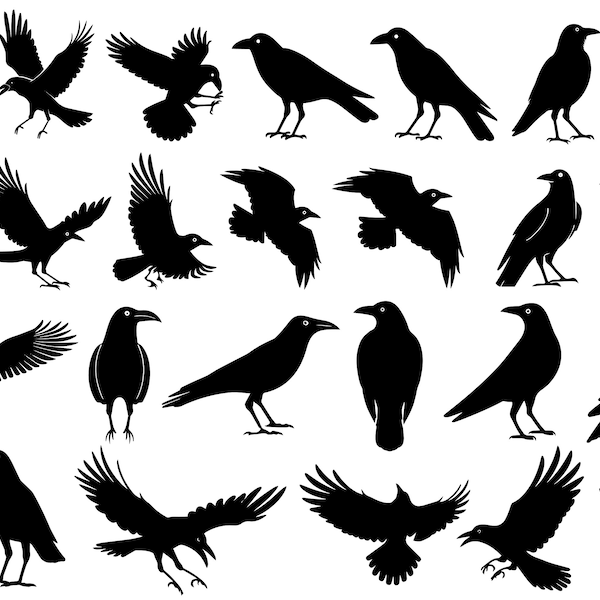 Crow Silhouette - Etsy