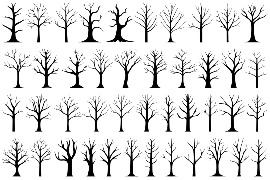 Bare Tree SVG Bundle, Bare Trees SVG, Bare Tree Silhouette, Bare Tree ...