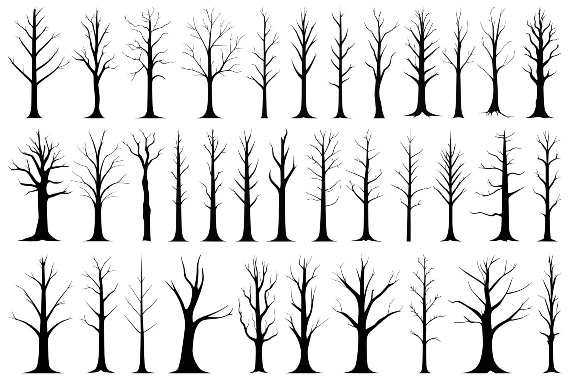 Bare Tree SVG Bundle | 35 Designs | Cricut Silhouette | Digital ...