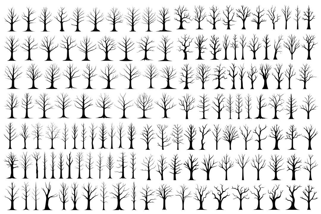 Bare Tree SVG Bundle, Bare Trees SVG, Bare Tree Silhouette, Bare Tree ...