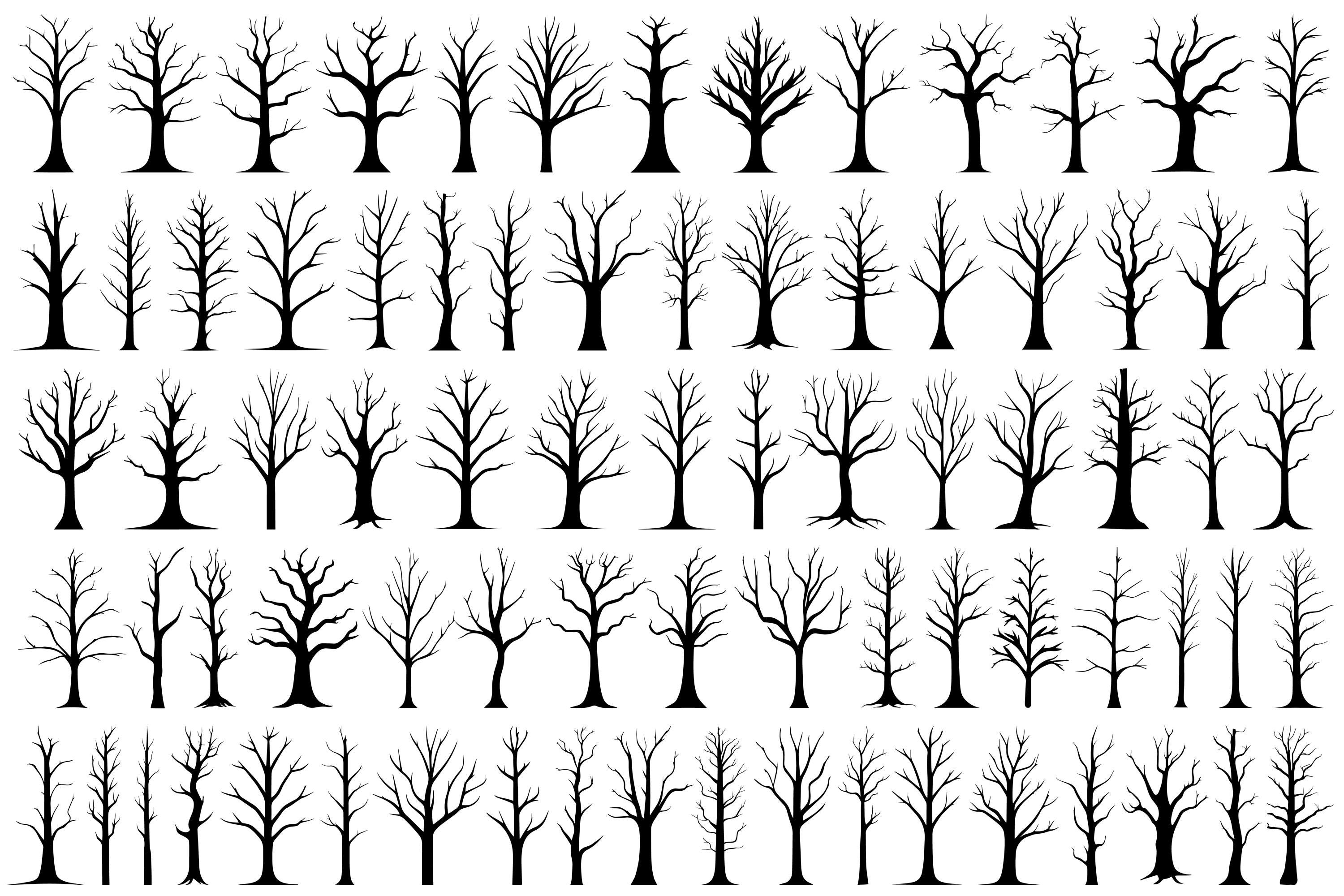Bare Tree SVG Bundle, Bare Trees SVG, Bare Trees PNG, Bare Tree ...