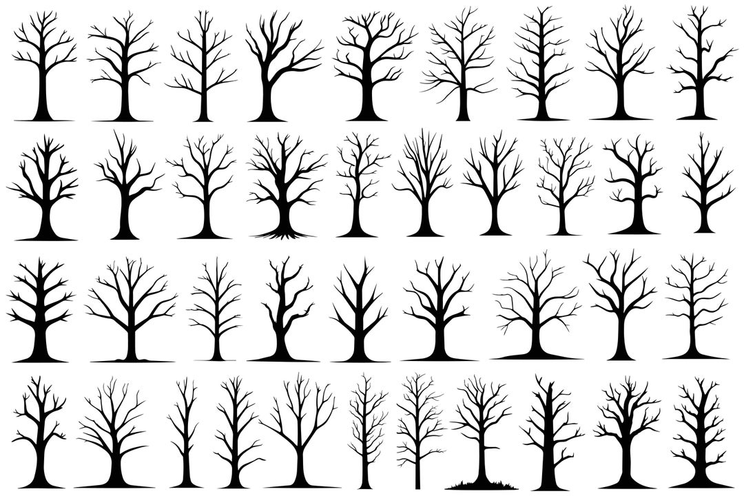 Bare Tree SVG Bundle, Bare Trees SVG, Bare Tree Silhouette, Bare Tree ...