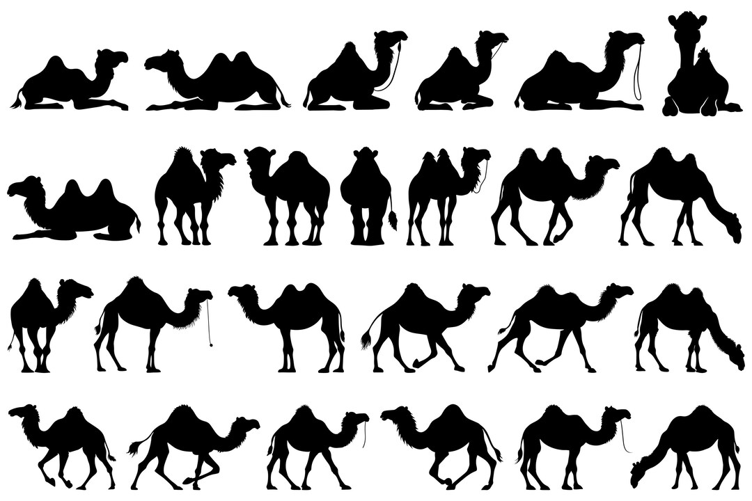 Camel Silhouette SVG, Camel SVG Bundle, Camels PNG, Camels Clipart ...