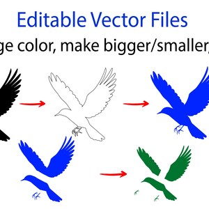 Bird SVG Bundle, Birds SVG, Birds PNG, Bird Silhouettes, Bird Clipart ...