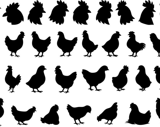 Chicken SVG Bundle, Hand Drawn Hen SVG, Rooster SVG, Farm Animal Svg ...