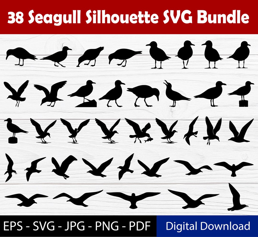 38 Seagull Silhouettes Svg, Png, Pdf, Pdf, and Jpg Files - Etsy