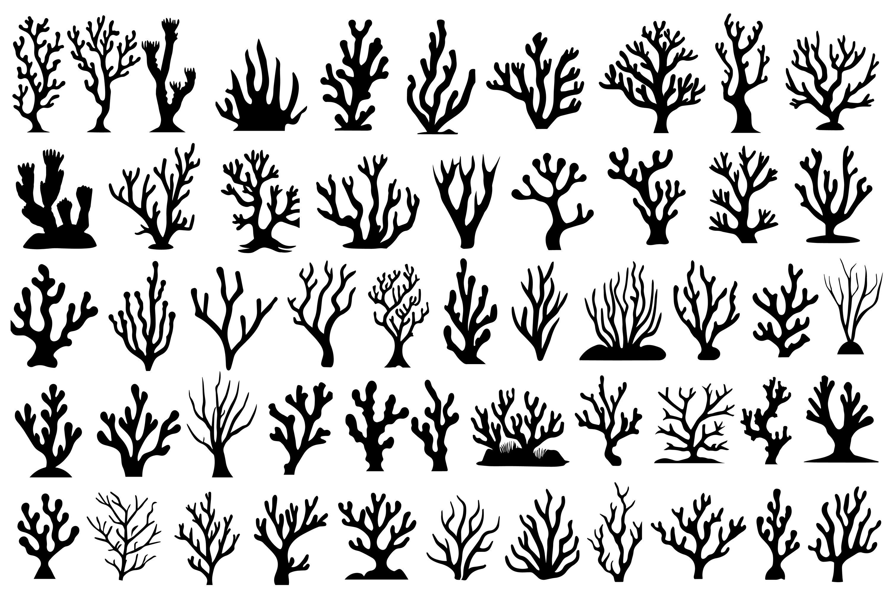 Coral SVG, Coral Silhouettes, Coral Clipart Vectors - Etsy