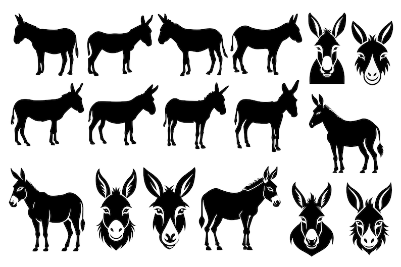 Donkey Silhouette Vector Art Bundle - Etsy