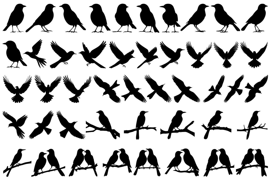 Bird SVG Bundle, Birds SVG, Bird Silhouettes, Flying Bird SVG - Etsy