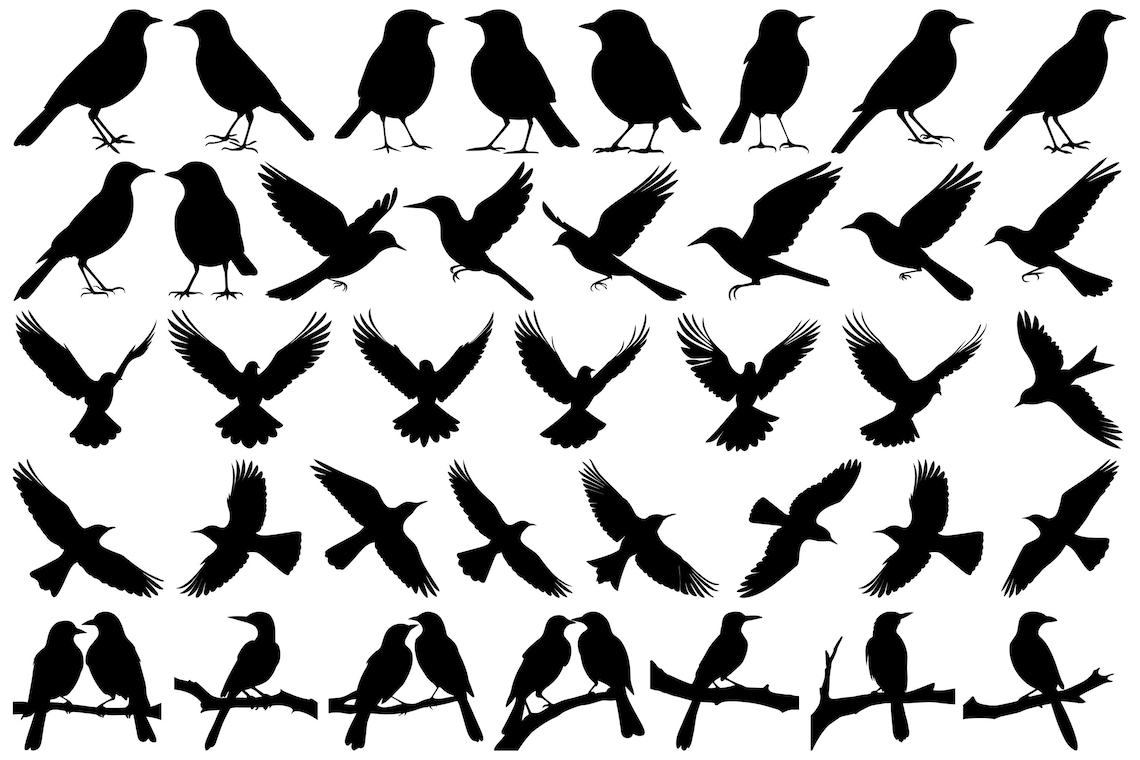 Bird Silhouette Vector Bundle, Flying Birds SVG - Etsy