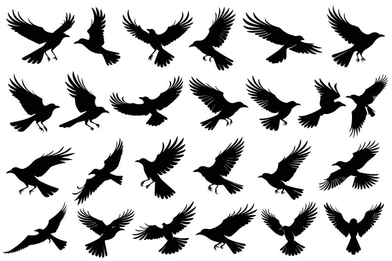 Flying Crow Silhouettes, SVG PNG Vector Graphics - Etsy UK