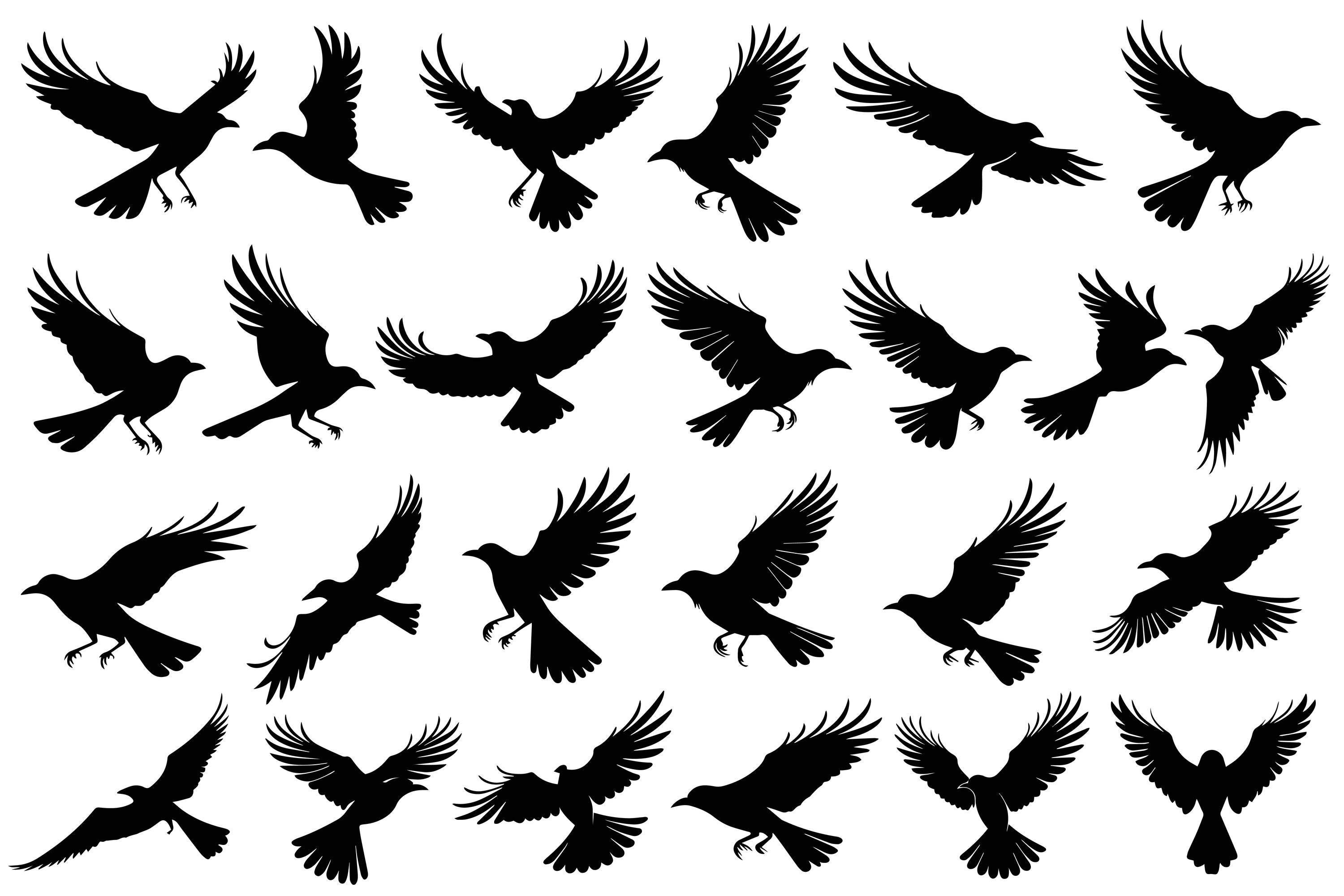 Flying Crow Silhouettes, SVG PNG Vector Graphics - Etsy