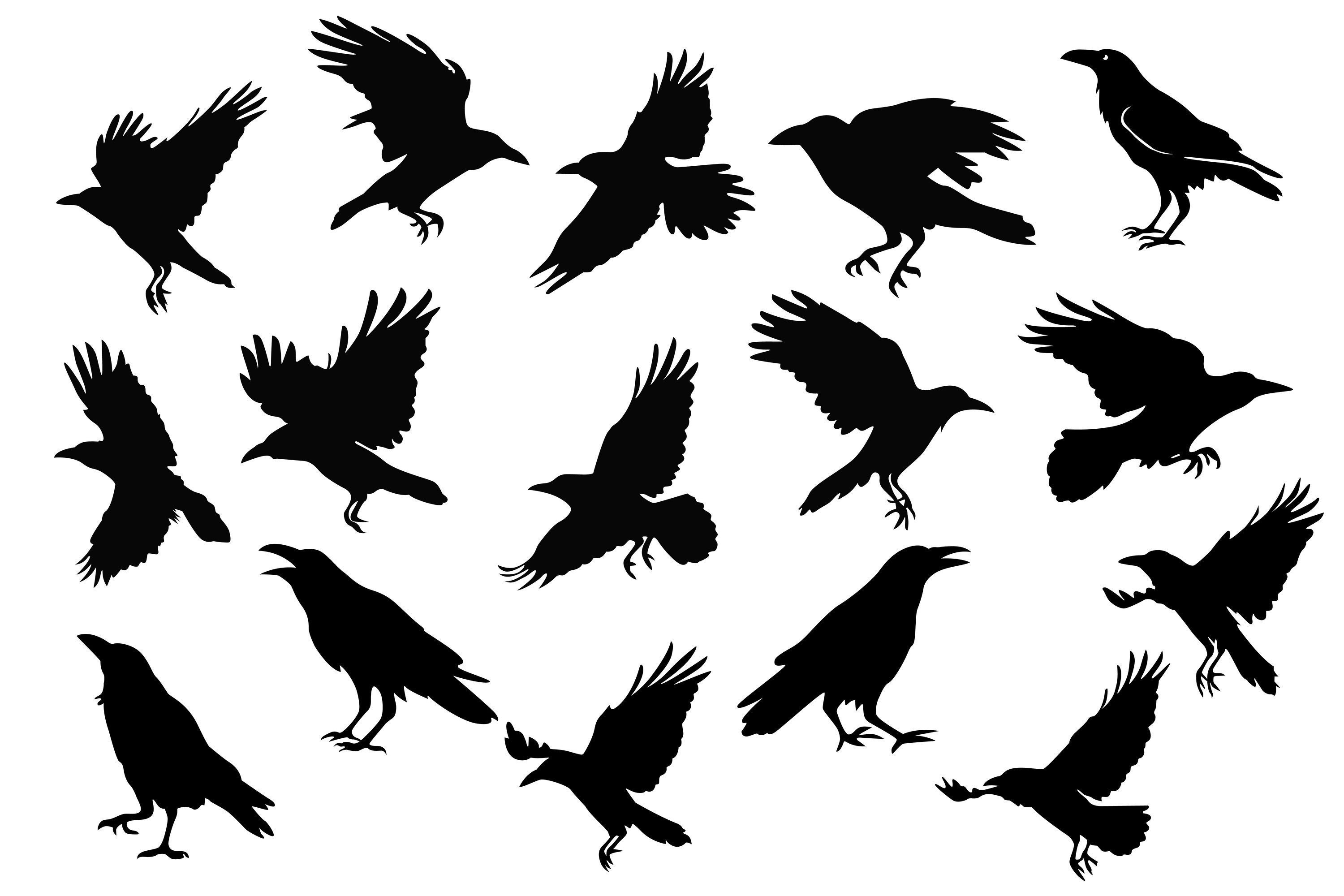 Crow Silhouettes Set, Flying Crow Silhouettes, Crow SVG Bundle, Crow ...