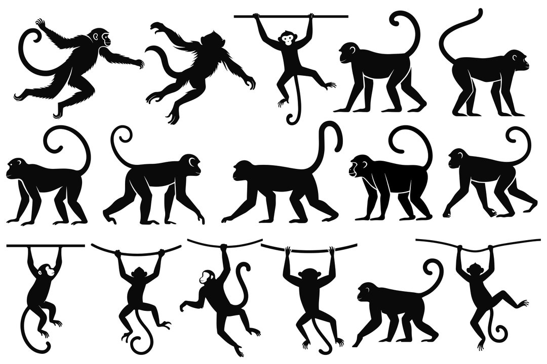 Monkey SVG Bundle | 16 Designs | Cricut Silhouette | Digital Download ...