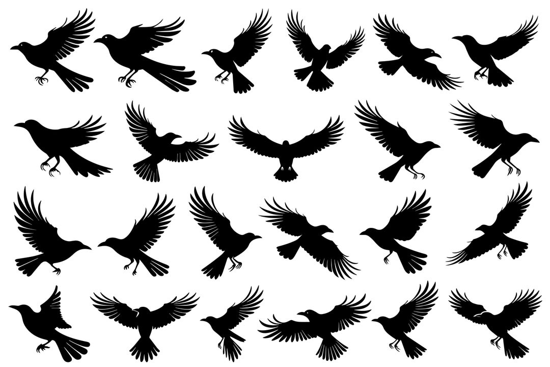 Flying Crow Silhouettes, SVG PNG Vector Graphics - Etsy UK