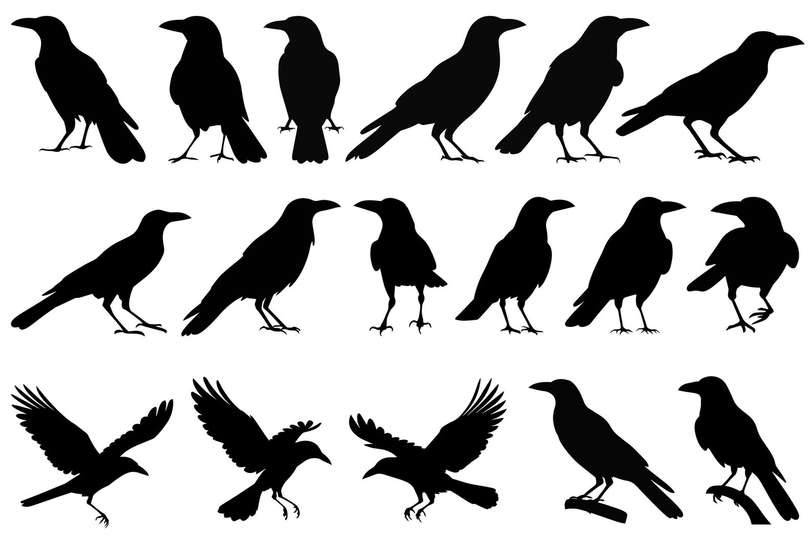 Black Crow Silhouettes, Black Crow Svg Bundle, Black Crows Svg, Flying ...