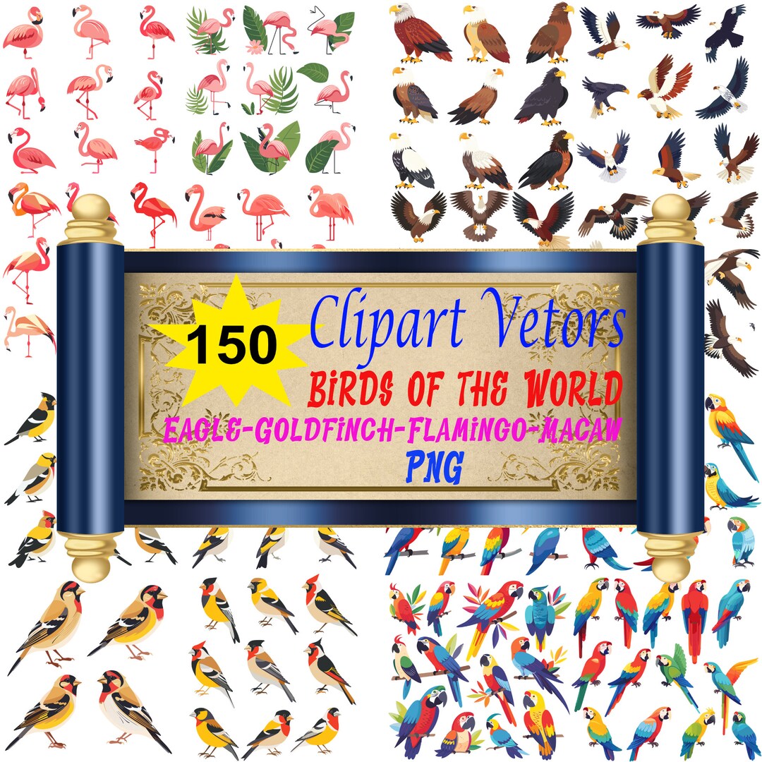 Colorful Birds, Clipart Bundle Vector PNG, 150, Eagle, Flamingo ...