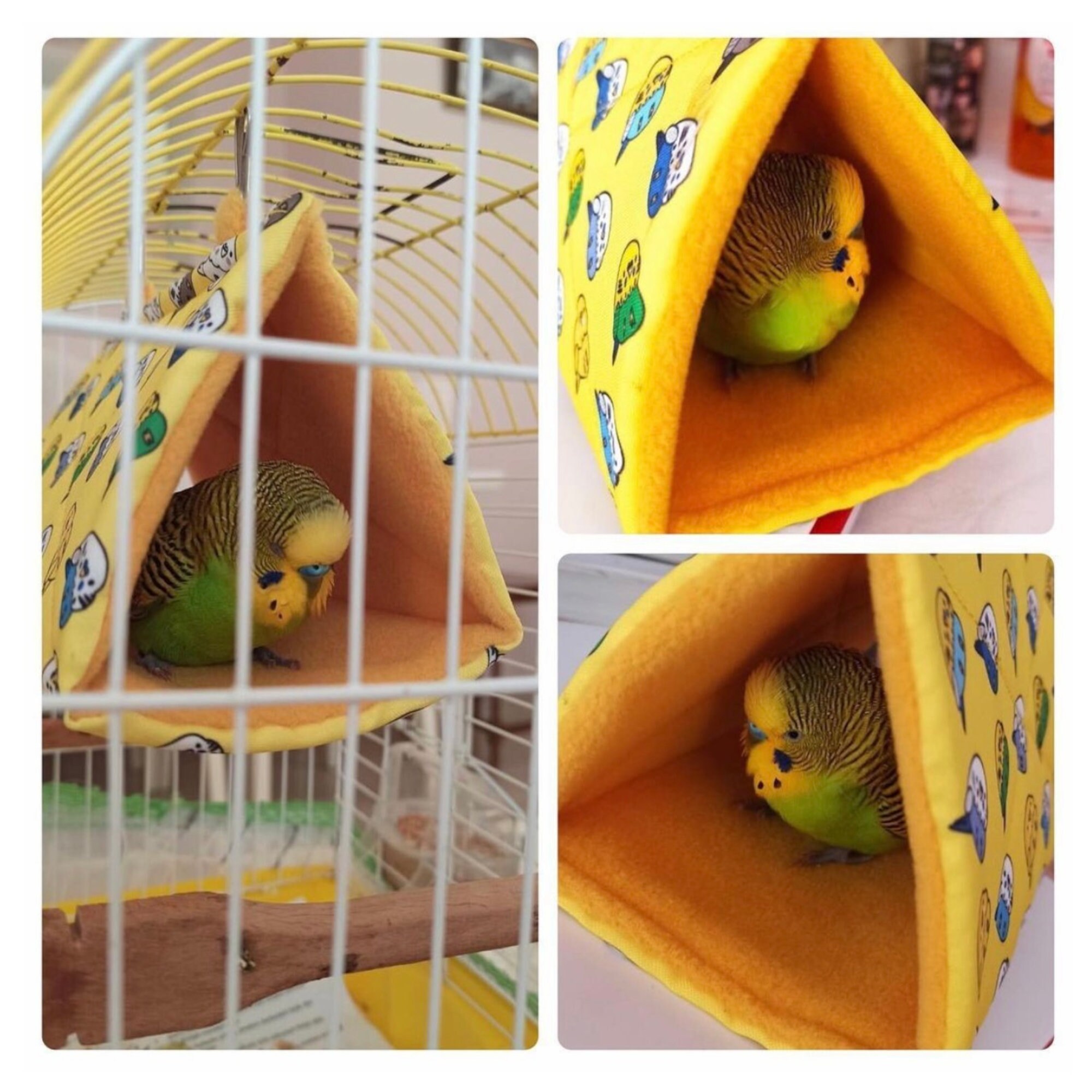 Budgie Bird Snuggle Hut Sleepy Hut Budgerigar Bird Tent - Etsy