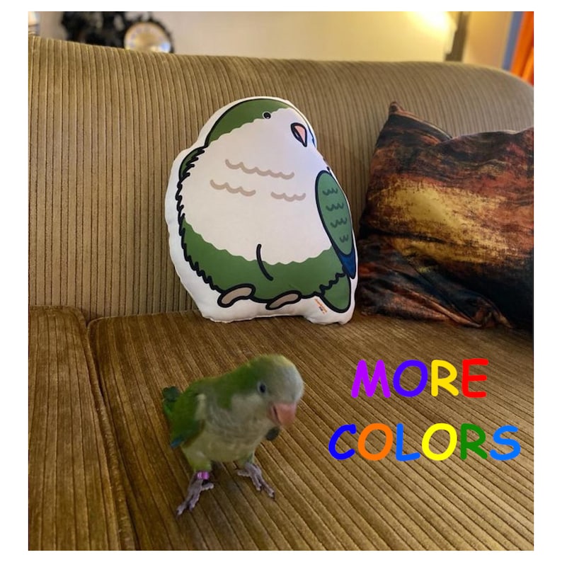 Quaker Parrot, Monk Parakeet Plush, Pillow, Cushion, Bird, Parrot, Gift ...