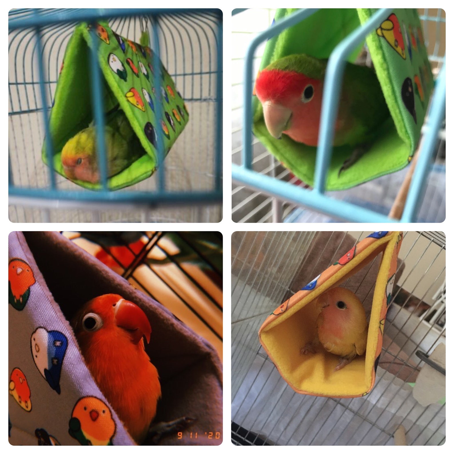 Lovebird Bird Snuggle Hut, Sleepy Hut, Bird Tent, Bird Bedding, Plush ...