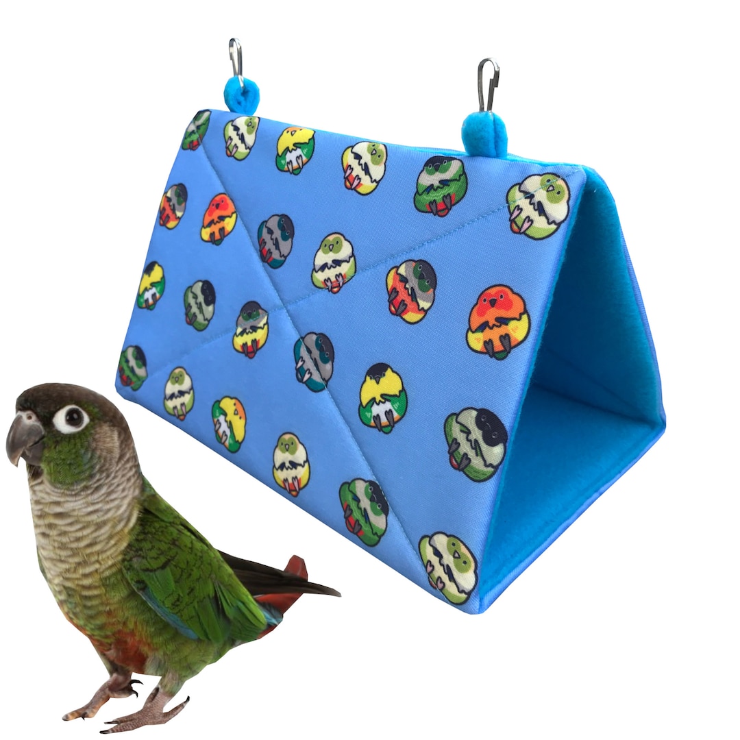 Conure, Sun Conure, Caique, Bird Snuggle Hut, Sleepy Hut, Tent, Bird ...