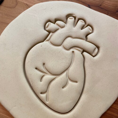 Human Heart Cookie Cutter With Detail - Etsy