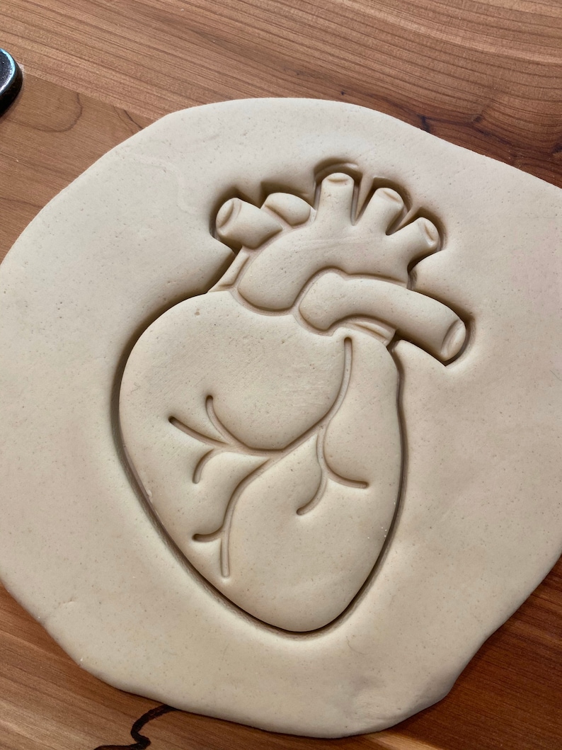 Human Heart Cookie Cutter With Detail | Etsy