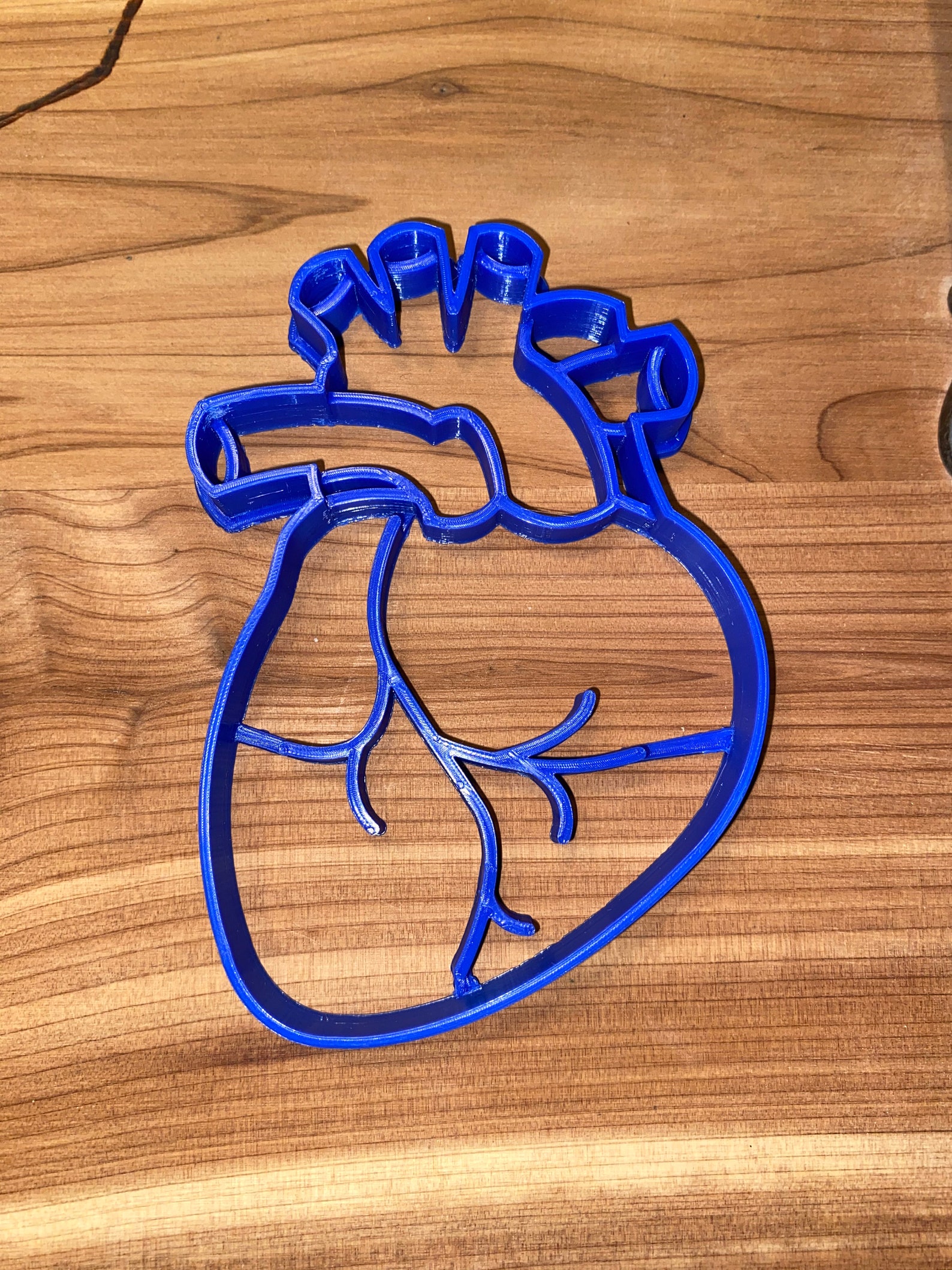 Human Heart Cookie Cutter With Detail | Etsy