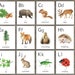 Woodland Flash Cards Printable ABC Cards Alphabet Cards | Etsy