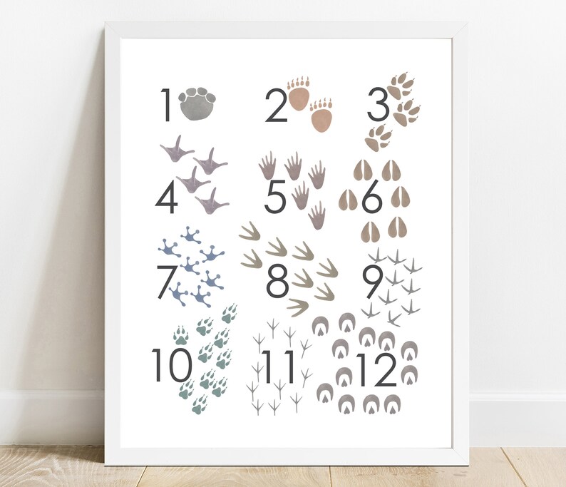 Footprint Alphabet and Number Poster Set Baby Shower Gift | Etsy