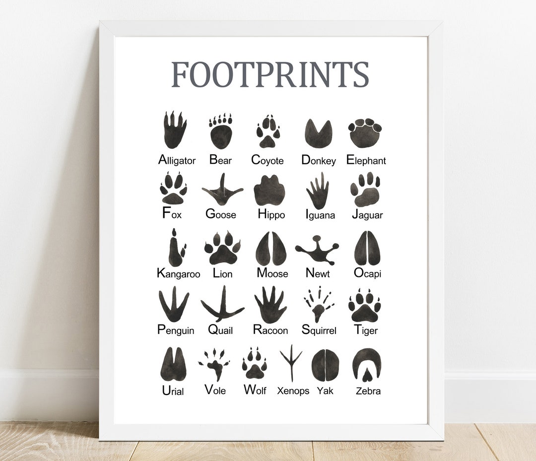 Animal Footprints ABC, Alphabet Poster, Watercolor Educational Posters ...