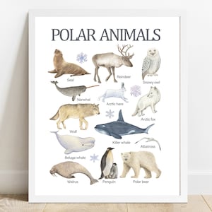 Animals Set 9, Educational Printable Wall Art, Learning Home School ...