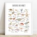Set of 3, Personalized Dinosaur Art Alphabet Print, Number Poster ...