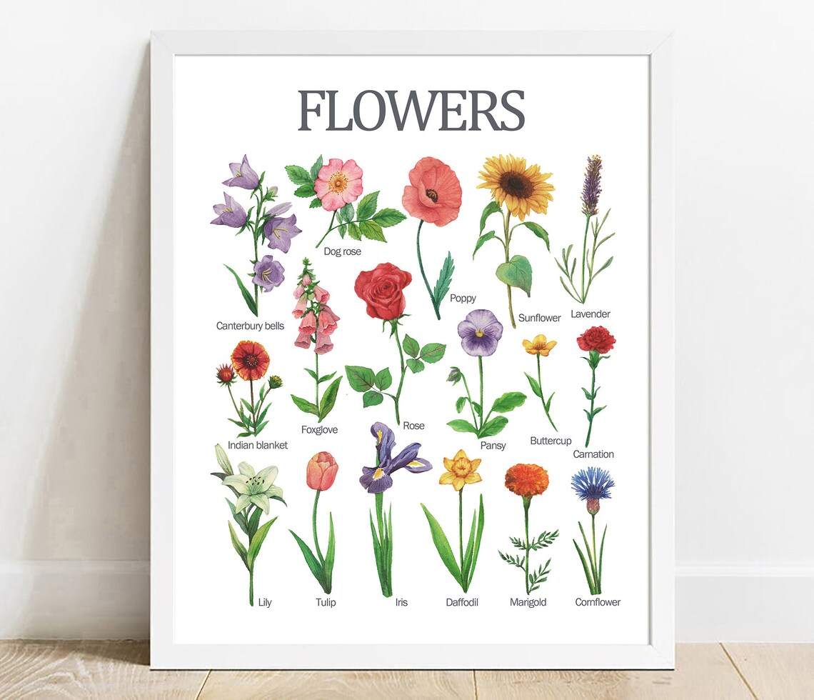Watercolor Flowers Chart Printable: Educational Nursery Decor (digital ...