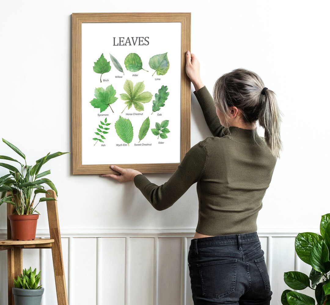 Leaves Prints, Educational Printable Wall Art, Learning Home School ...