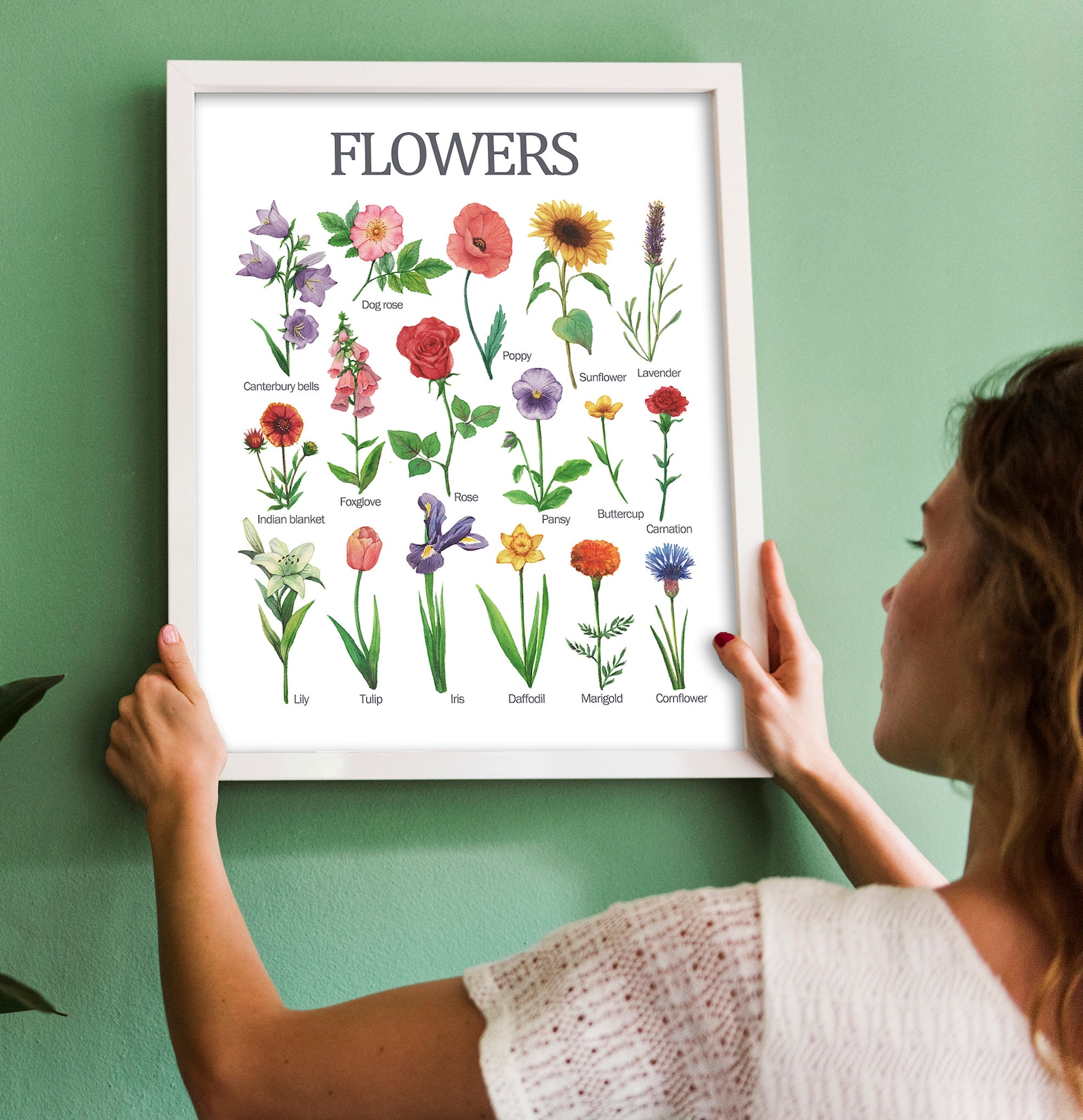 Watercolor Flowers Chart Printable: Educational Nursery Decor (digital ...