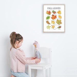 Fall Leaves Prints, Educational Printable Wall Art, Learning Home ...