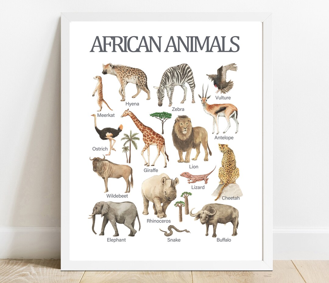 African Animals Educational Printable Wall Art Learning Home - Etsy