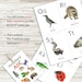 Woodland Flash Cards, Printable ABC Cards, Alphabet Cards, Nursery ...