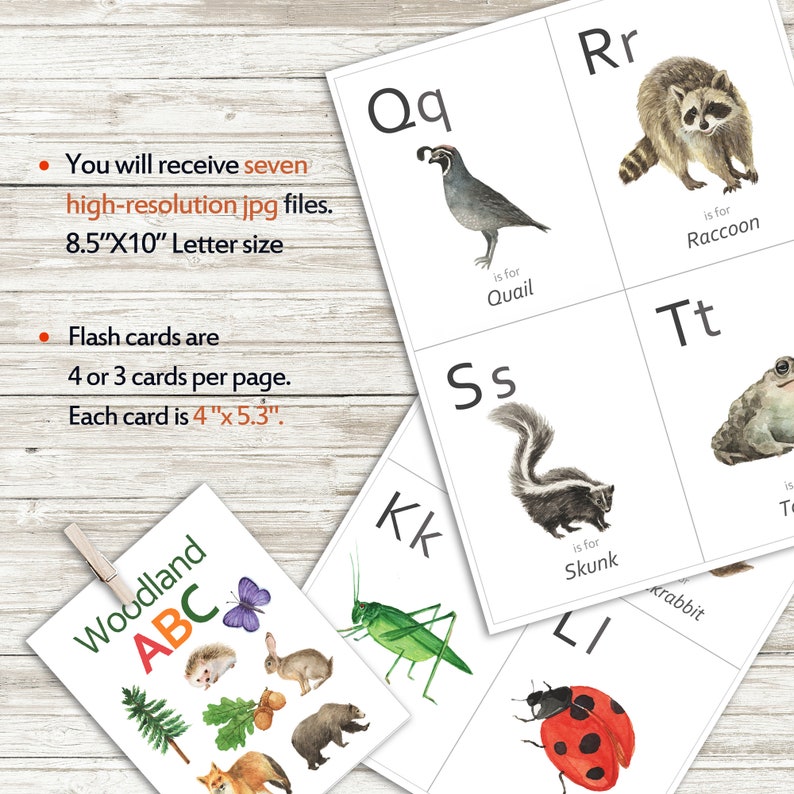 Woodland Flash Cards Printable ABC Cards Alphabet Cards | Etsy