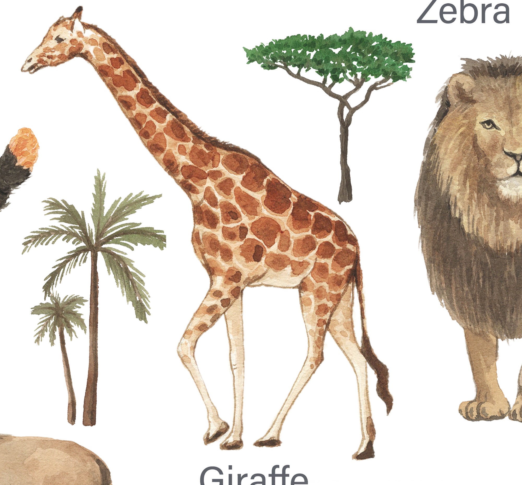 African Animals Educational Printable Wall Art Learning Home | Etsy