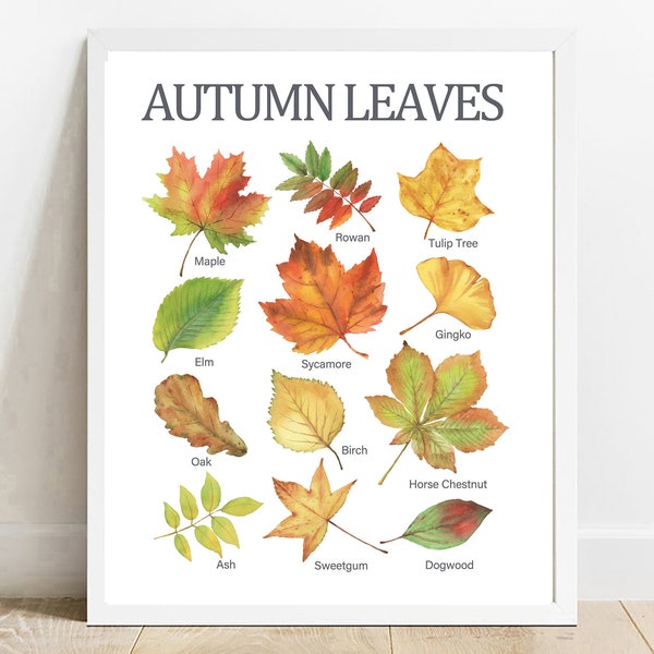 Autumn Leaves Print - Etsy