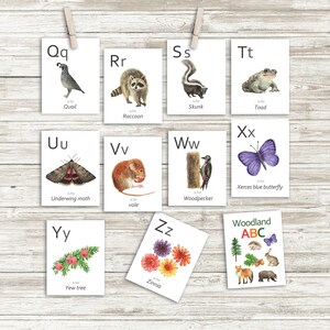 Woodland Flash Cards, Printable ABC Cards, Alphabet Cards, Nursery ...