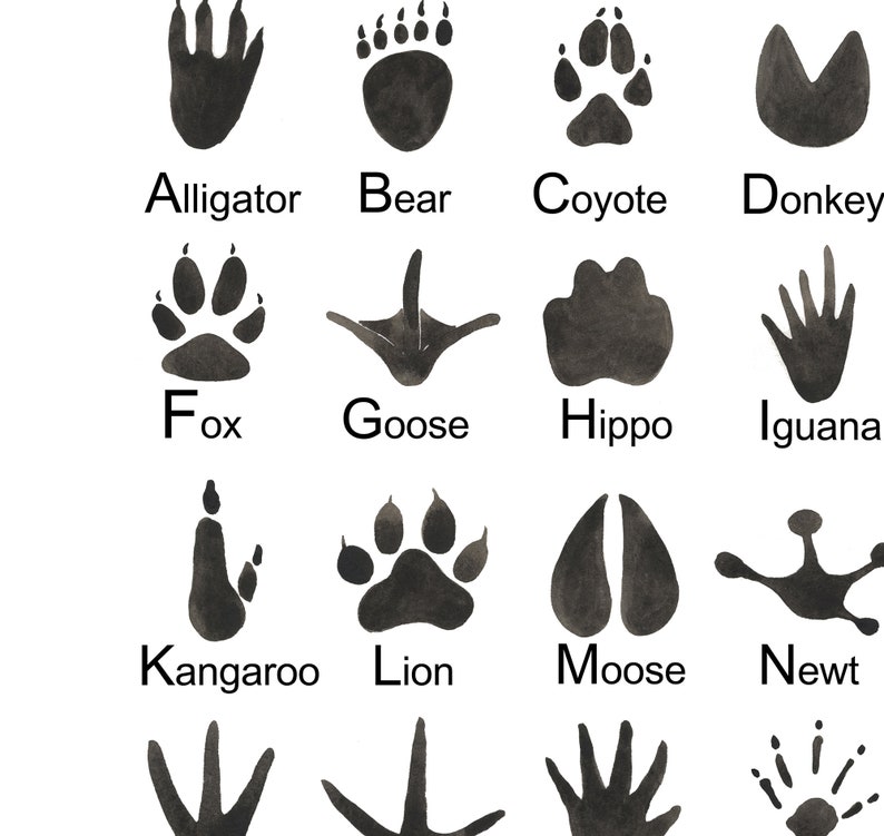 Footprint Alphabet and Number Poster Set ABC Posternursery - Etsy