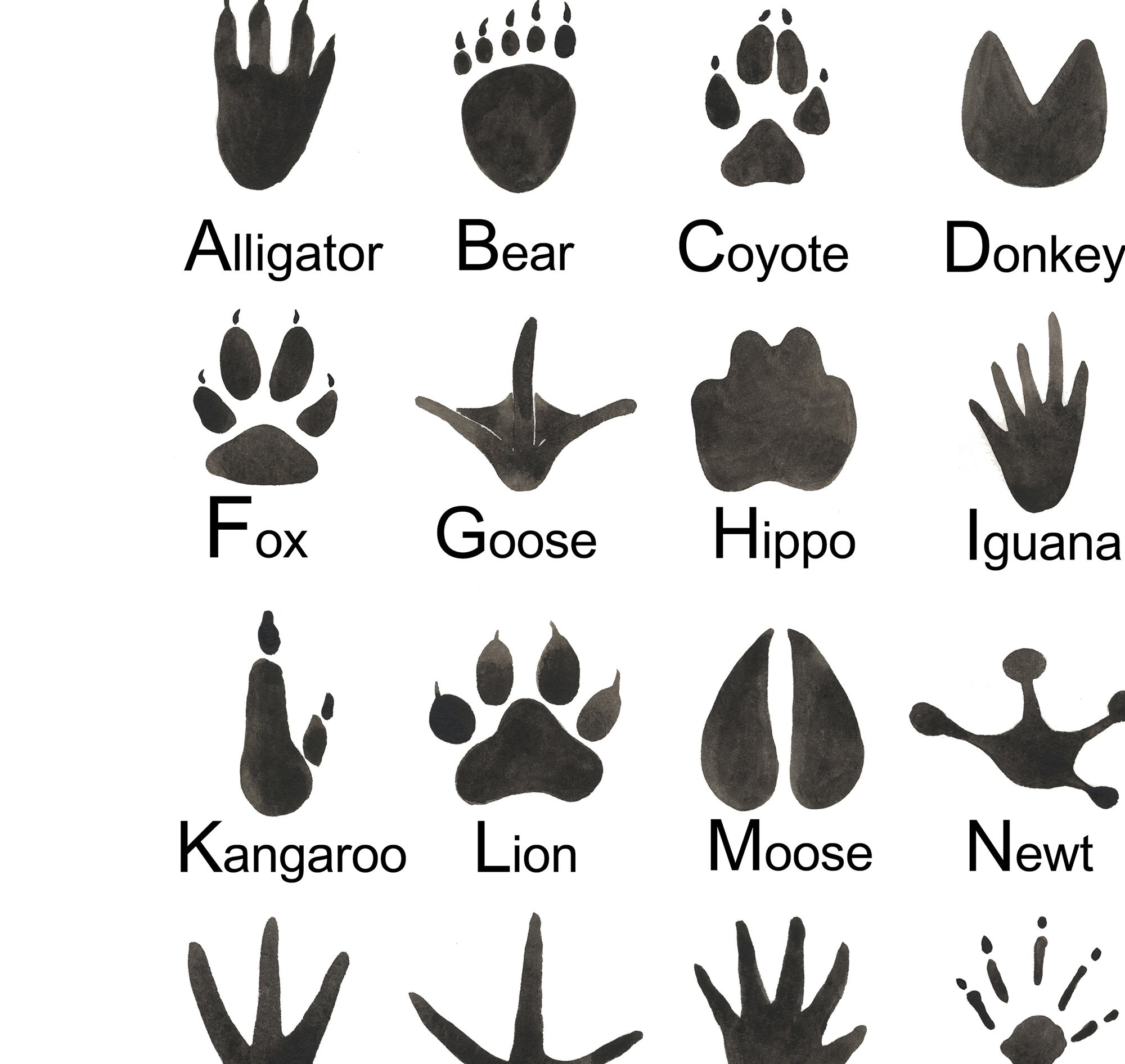 Footprint Alphabet and Number Poster set ABC posterNursery | Etsy