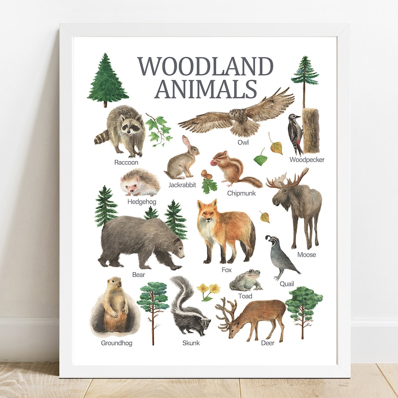 Animal Posters for Kids - Etsy