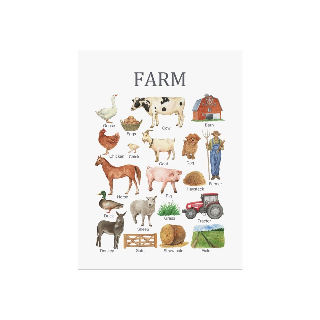 Shipped_educational Farm Classroom, Farm Animals, Learning Home School ...