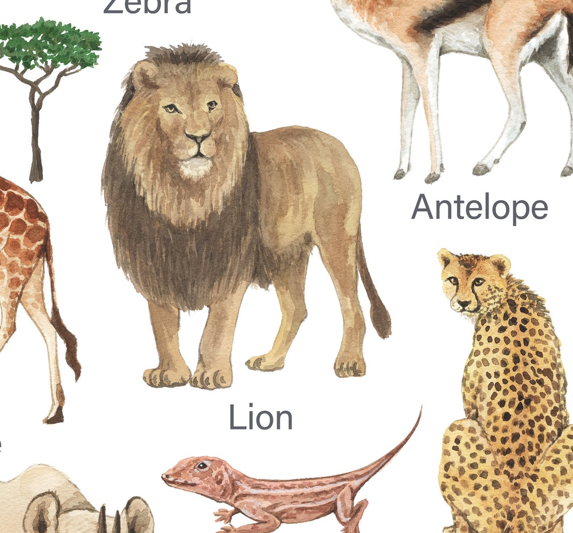 African Animals Educational Printable Wall Art Learning Home | Etsy