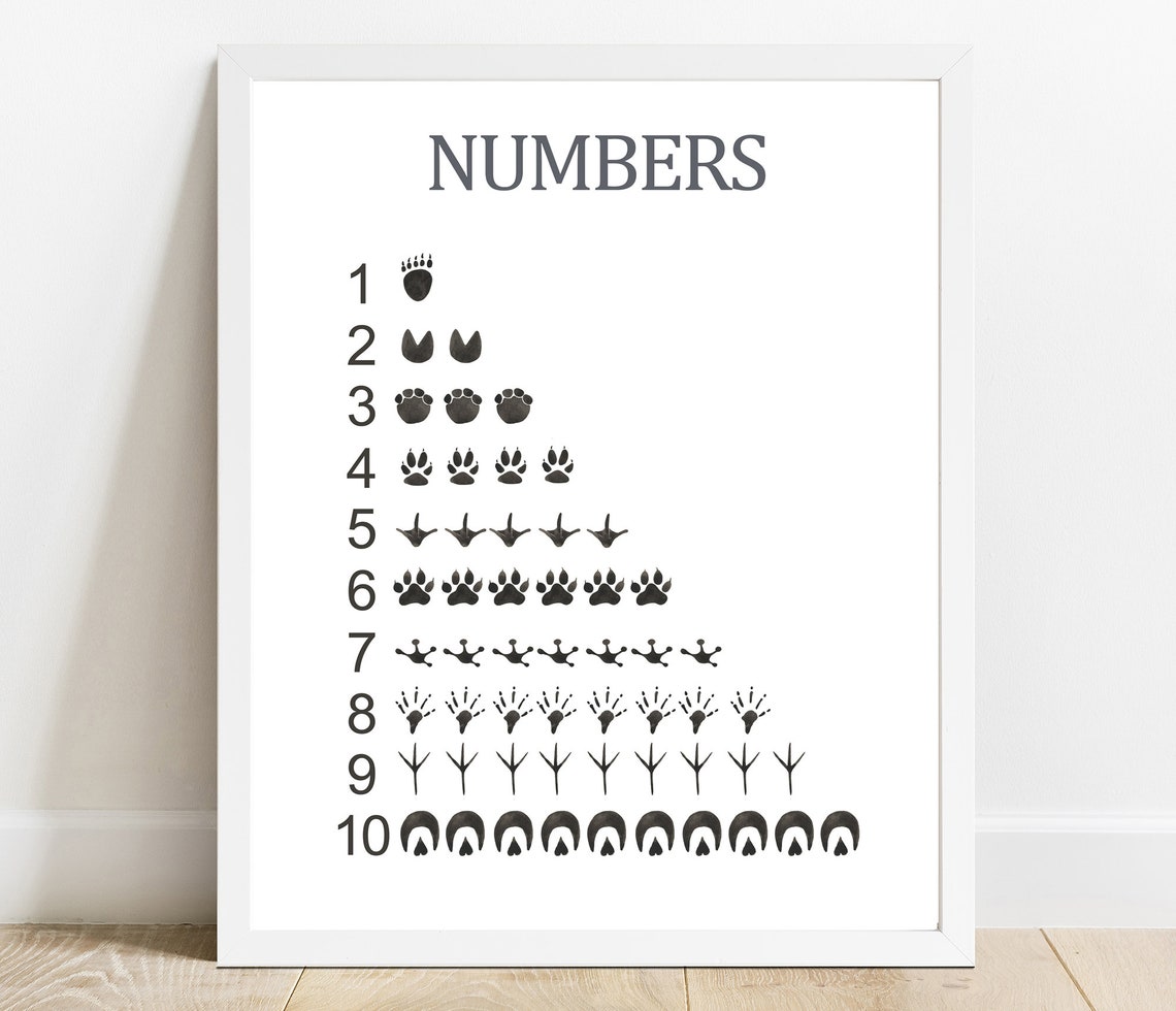 Footprint Alphabet and Number Poster set ABC posterNursery | Etsy