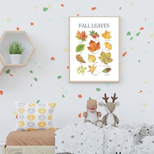 Fall Leaves Prints, Educational Printable Wall Art, Learning Home ...